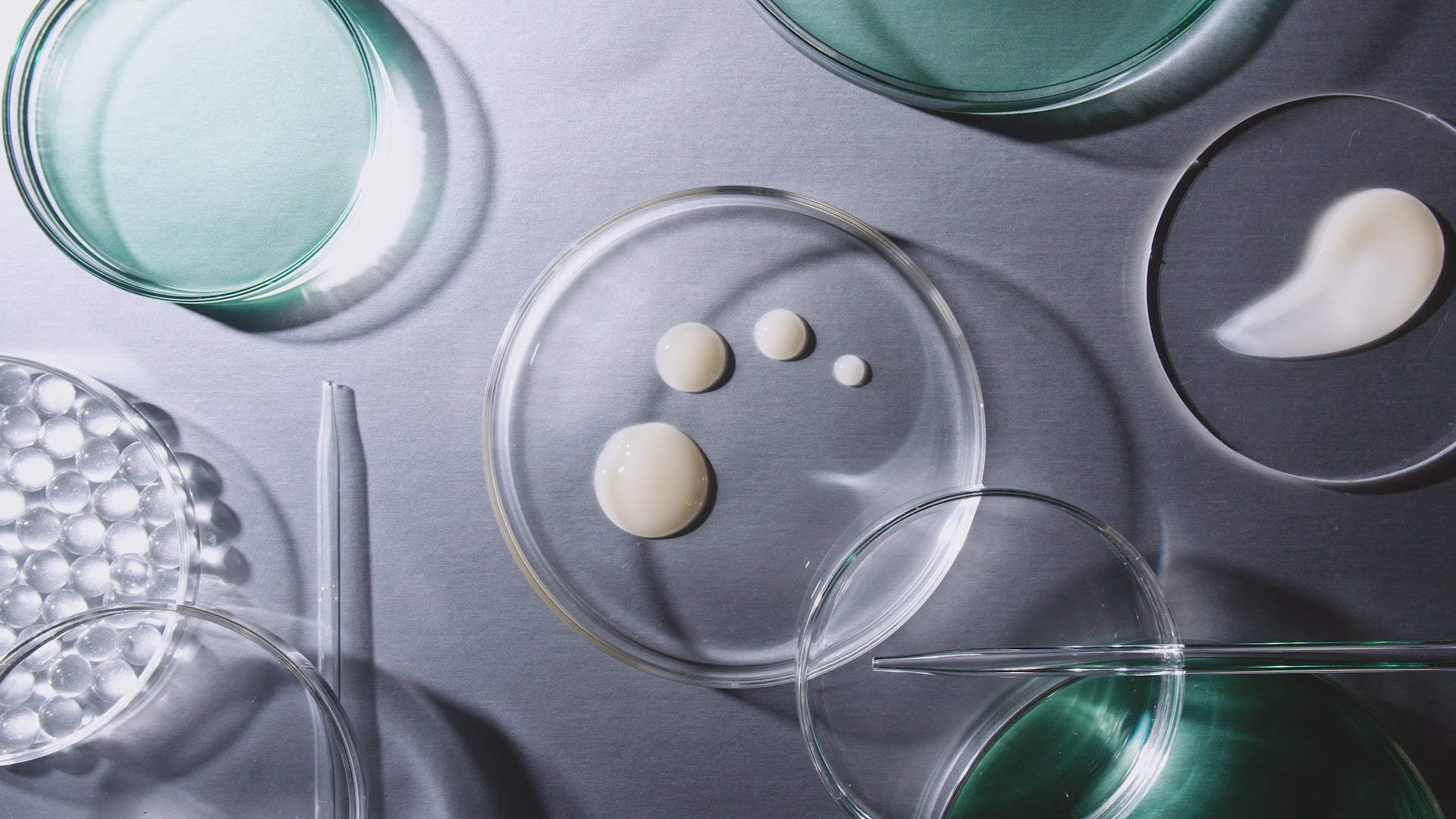 Membership – EASYDEW